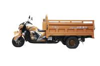 China 200CC Water-Cooled Cargo Tricycle with 800kg Load Capacity and 10.6kw Power for Heavy-Duty Industrial Transport for sale