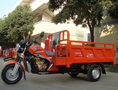 China 200CC Gasoline Cargo Tricycle with 1000kg Load Capacity and 65 km/h Speed | Double Railings & Side Seats for sale