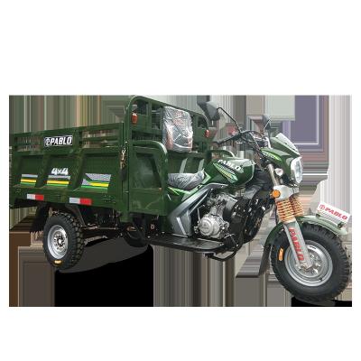 China 150cc Gasoline Cargo Tricycle Motorcycle 800kg Load Capacity for sale
