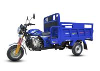 China 150CC Air Cooling Cargo Tricycle with 800kg Load Capacity and 60 km/h Max Speed for Commercial Transport for sale