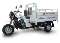 China Light Loader Cargo Tricycle 1000kg Capacity with 1.7×1.25m Box | Zongshen 197ml Engine for sale