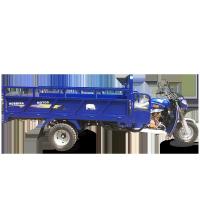 China 300cc Gas Powered Cargo Tricycle with 2000kg Loading Capacity for sale