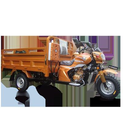 China 200cc Cargo Tricycle with 900kg Load Capacity 2000x1300mm Cargo Box for sale