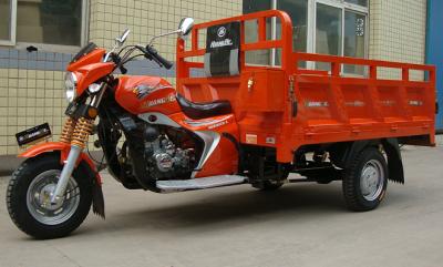 China OEM 200CC 250CC Cargo Tricycle with 360kg Load Capacity and Shaft Drive System for sale