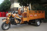 China 200CC Motorized Cargo Tricycle with Automatic Gear Box - 1000kg Load Capacity & 3000mm Length for sale