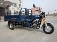 China 150CC Gasoline Motorized Cargo Tricycle with 450kg Load Capacity and 1700×1250mm Cargo Box for Commercial Transport for sale