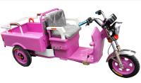 China Purple Chinese 3 Wheel Motorcycle 160 Mechanical Drum Brake 300KG Load Capacity 25KM/H Speed For Female Operators for sale