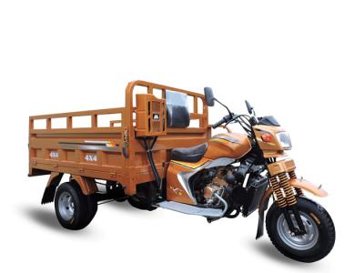 China 250cc Motorized Cargo Tricycle with Heightening Carriage - 2000kg Load Capacity & 65km/h Speed for sale