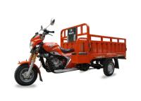 China Air Cooled 150cc Gasoline Three Wheel Cargo Motorcycle Chinese Tricycle 1700mm Cargo Bed for sale