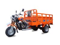 China Motorized Petrol Three Wheel Cargo Motorcycle 144.6cc with 300kg Load Capacity for Heavy Transport for sale
