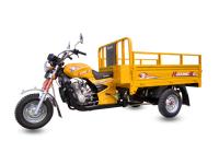 China 150cc Heavy Duty 3 Wheel Motorcycle with 300kg Load Capacity - Gas/Petrol Powered Commercial Tricycle for sale