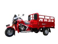 China 150cc Motorized Cargo Trike with 300kg Load Capacity | Heavy-Duty Three Wheel Motorcycle 3000×1250×1360mm for sale
