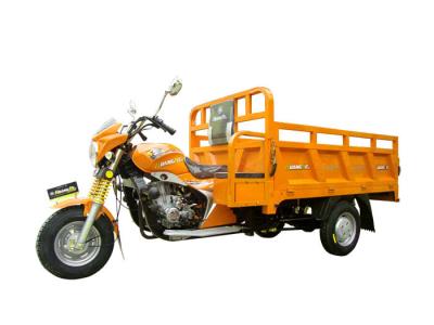 China Shuiyin 250cc Motorized Cargo Trike with 300kg Load Capacity and 3000mm Length for Heavy Transport for sale