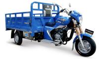 China 197cc Motorized Cargo Tricycle with 350kg Load Capacity - Three Wheel Heavy Duty Motorcycle for sale
