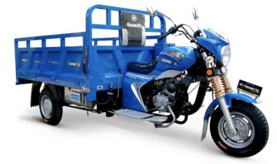 China 197cc Motorized Cargo Tricycle with 350kg Load Capacity - Three Wheel Heavy Duty Motorcycle for sale