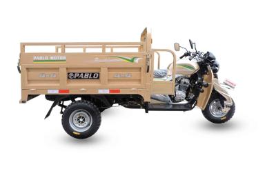 China CCC Shaft Drive 200cc Carriage Cargo Motor Tricycle with 800kg Load Capacity and 80km/h Speed for sale