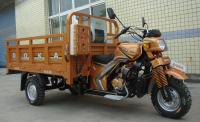 China 1.7x1.25m Light Loader Cargo Tricycle with 197ml Engine and 1000kg Load Capacity for Commercial Transport for sale