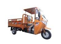 China Open Body 12v 120ah Motorized Cargo Motor Tricycle for sale