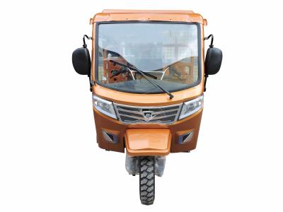 China Compact Electric Cargo Bike 3 Wheel 197cc with 1000kg Load Capacity and 65km/h Max Speed for Commercial Transport for sale