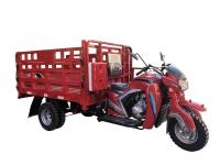 China 250CC Cargo Tricycle with 1000kg Load Capacity and 60km/h Speed - Open Body 1700×1250mm for sale