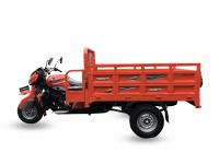 China 250CC Water-Cooled 3 Wheeler Cargo Tricycle with 350kg Load Capacity and 60km/h Max Speed for Heavy Delivery for sale