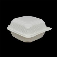 China 29g MFPP Hinged Container Polypropylene Rectangular Takeaway Containers for sale