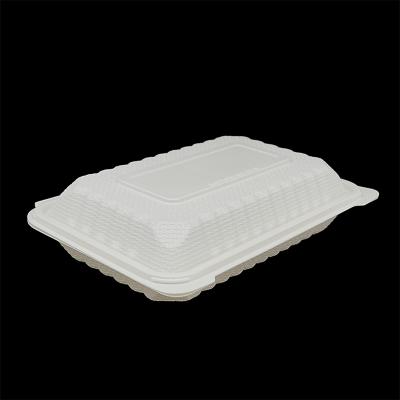 China Customized Color MFPP Hinged Container Rectangular Shape With Lid for sale