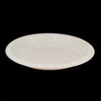 China 10 Inch Disposable Plastic Plate HIPS Dinner Plate Food Safe Custom Color for sale