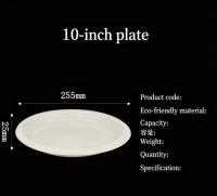 China 10 Inch Disposable Plastic Plate HIPS Dinner Plate Food Safe Custom Color for sale