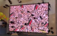 China 250x250mm Module Interactive LED Floor Panels For Party Mall Dj Bar for sale