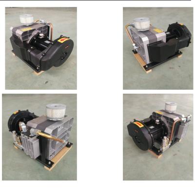 China Super Quiet Design Mounted Oil Free Car Scroll Compressor for sale
