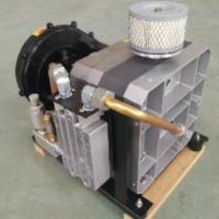 China Super Quiet Design Mounted Oil Free Car Scroll Compressor for sale