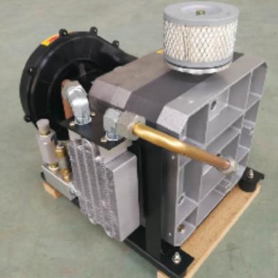 China Medical Apparatus Use Car Scroll Compressor Oil Free for sale