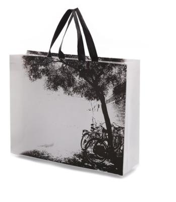 China Recycled PP Polypropylene Packaging Bags Foldable Nylon Polyester for sale