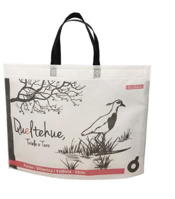 China Food PP Woven Packaging Bags Recycled Foldable Polypropylene Shopping Bag for sale