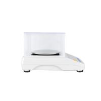 China Electronic Scale High Precise Balanza Digital Jewelry Gold Silver Powder Scales OEM Waage BDS DJ 602A for sale