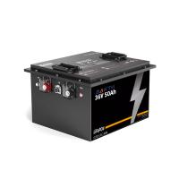 China 36V Charge Limited Voltage Lithium Iron Phosphate Battery Pack for Dependable Power Solution for sale
