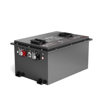 China 48V 50Ah LiFePO4 Golf Cart Battery for sale
