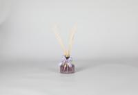 China CE Certified Reed Diffuser Fragrance Gift Set 5.5x16cm Glass Bottle for sale