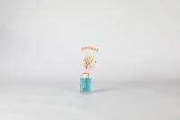 China 70ml Mini Reed Diffuser Fragrance Gift Set 0.28kg OEM Custom Logo Home Scent for sale