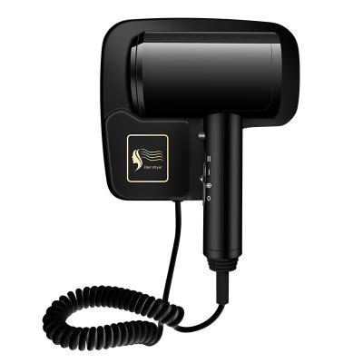 China 1200W Nano Ionic Travel Hair Dryer 110-230V Lightweight Salon Hair Blower with Concentrator for sale