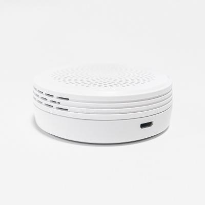 China Battery Car Ultrasonic Humidifier 74g Air Freshener Diffuser 10ml Capacity for sale