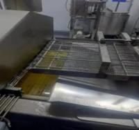 China Continuous Meat Breading Machine For Chicken Nugget And Meat Forming Production Lines for sale