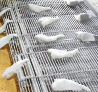 China Stainless Steel Tempura Batter Machine For Frozen Meat Production Lines for sale