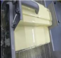 China SUS304 Fried Chicken Breading Machine Meat Coating Production Line 100kg/H for sale