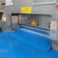 China Heavy Duty Meat Cutter Machine Automatic Meat Slicing Equipment For Food Industry for sale