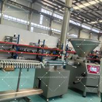 China Hygienic Design Vacuum Stuffing Filler Double-Line Tying & Clipping for Full Sausage Production Line for sale