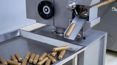 China AKCDK-120 Vacuum Sausage Stuffer Machine Stainless Steel Filling Line 3kW 450kg for sale
