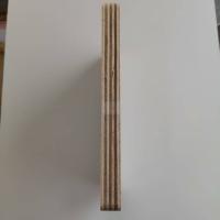 China 2440x1220mm Solid Wood Multi-Layer Ecological Board 12-18mm Thickness for Kitchen Furniture for sale