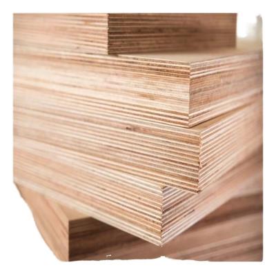 China Birch Veneer Plywood 1220x2440mm 7-30mm Thickness with Moisture Resistant Melamine Surface for sale